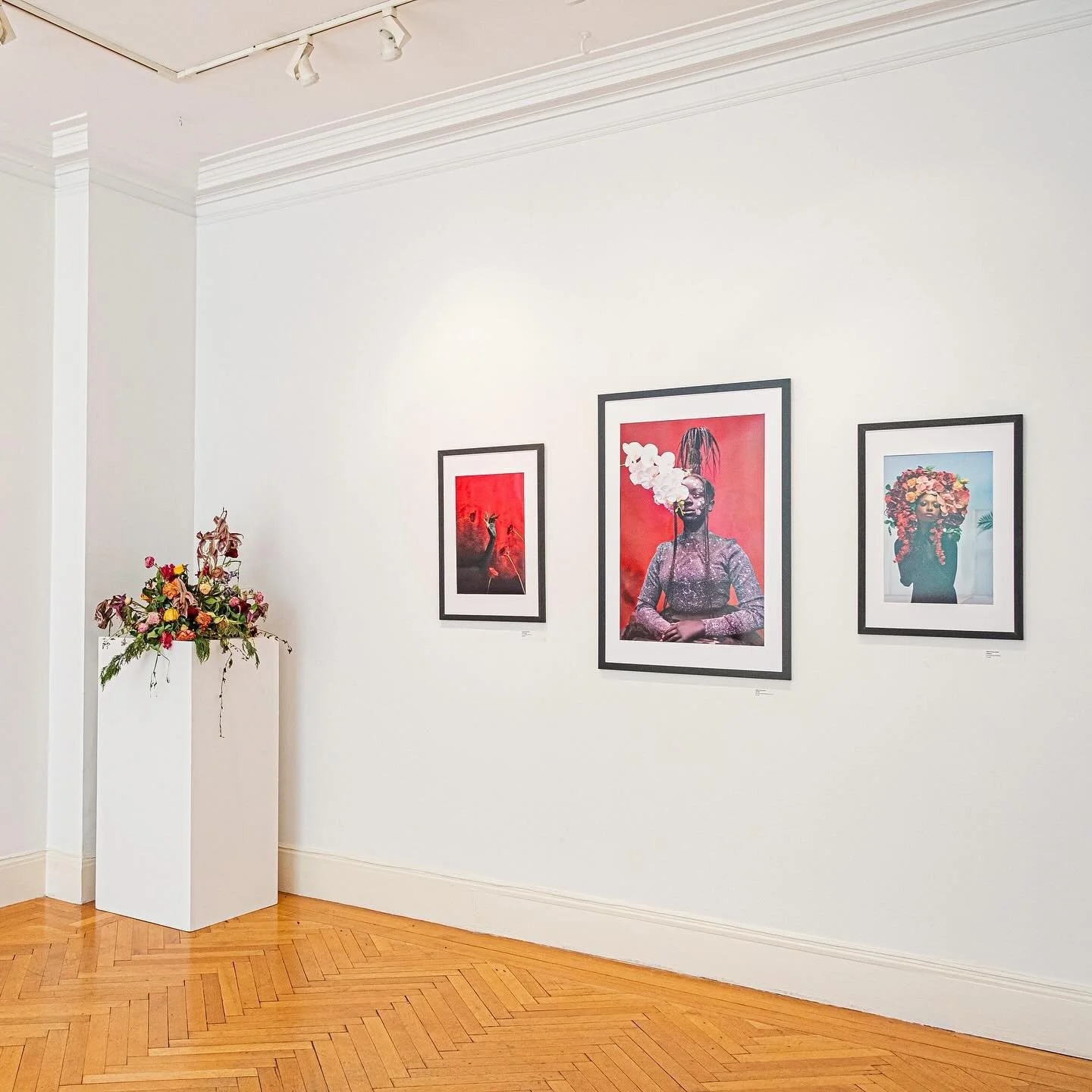 The Center for Emerging Visual Artists