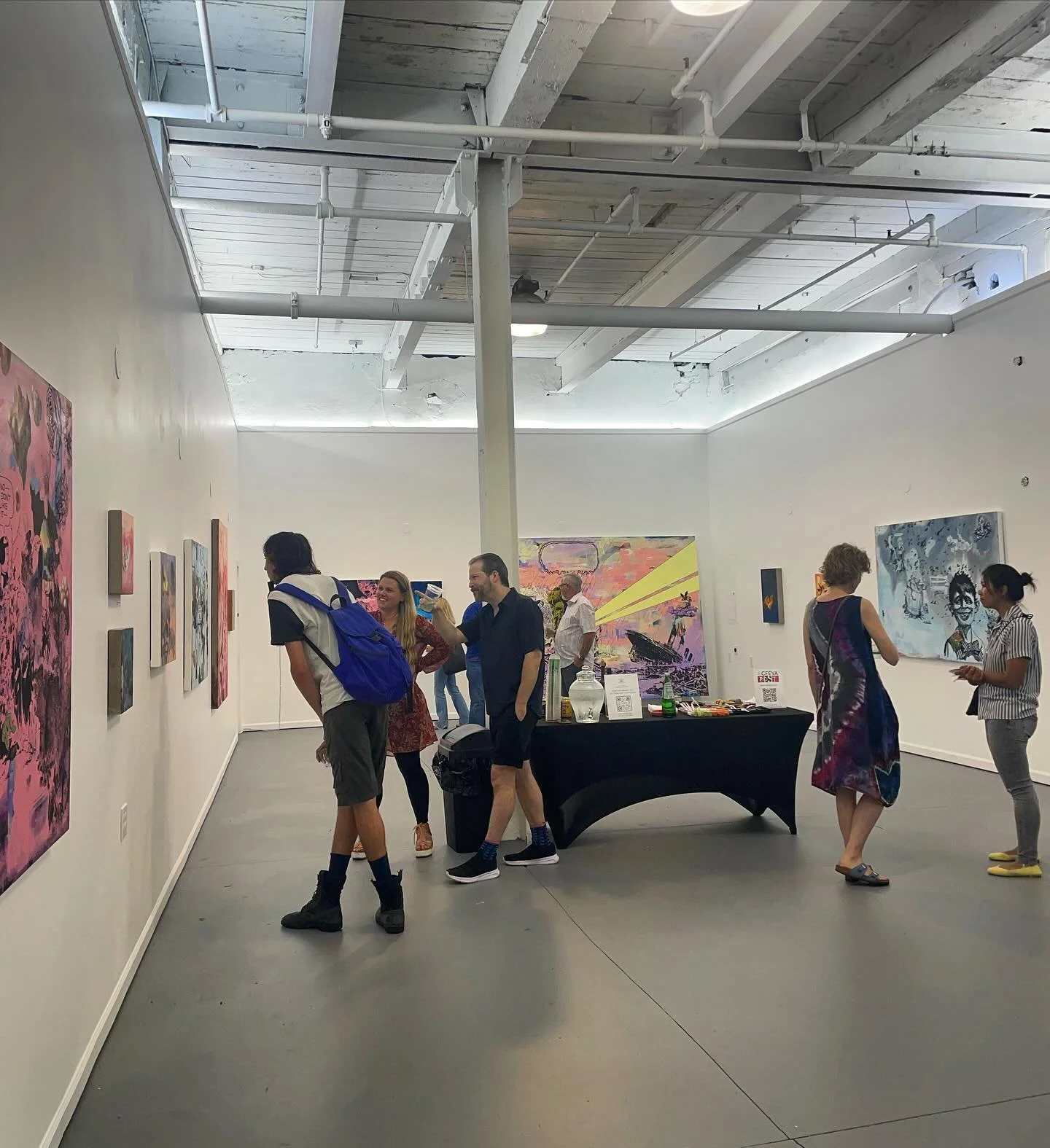 The Center for Emerging Visual Artists