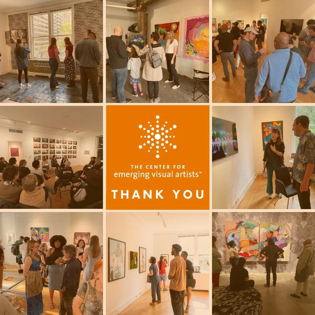 The Center for Emerging Visual Artists