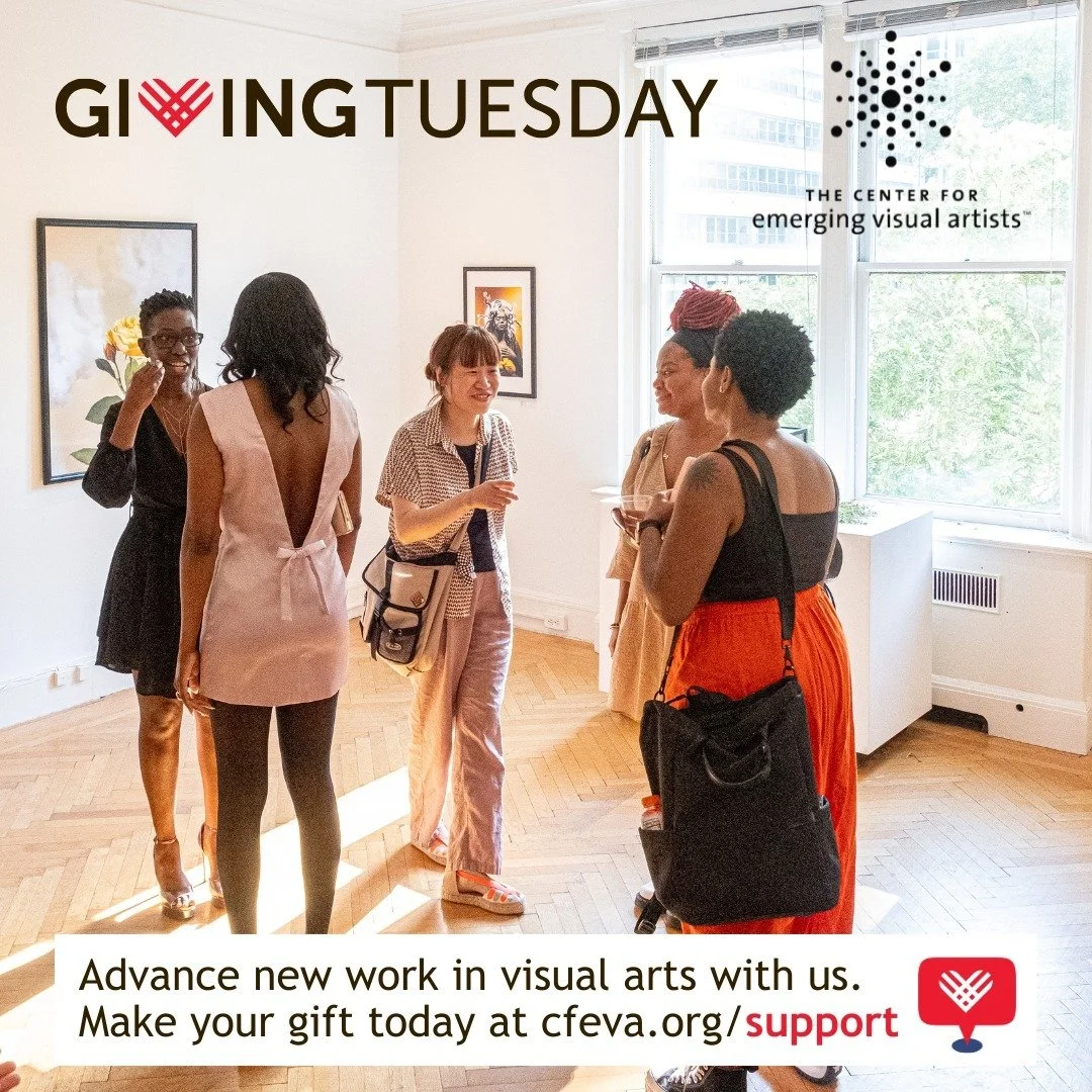 The Center for Emerging Visual Artists