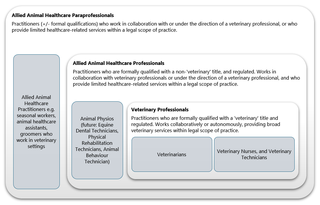 Roles and Responsibilities — Allied Veterinary Professional Regulatory ...