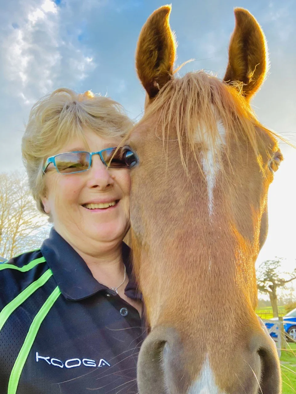 Who we are — Allied Veterinary Professional Regulatory Council of New ...