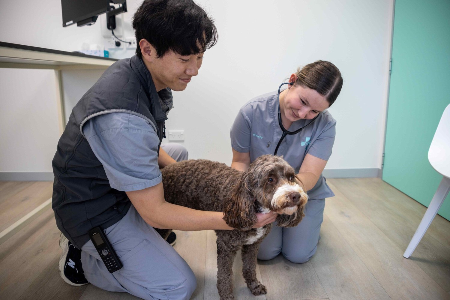 Allied Veterinary Professional Regulatory Council of New Zealand