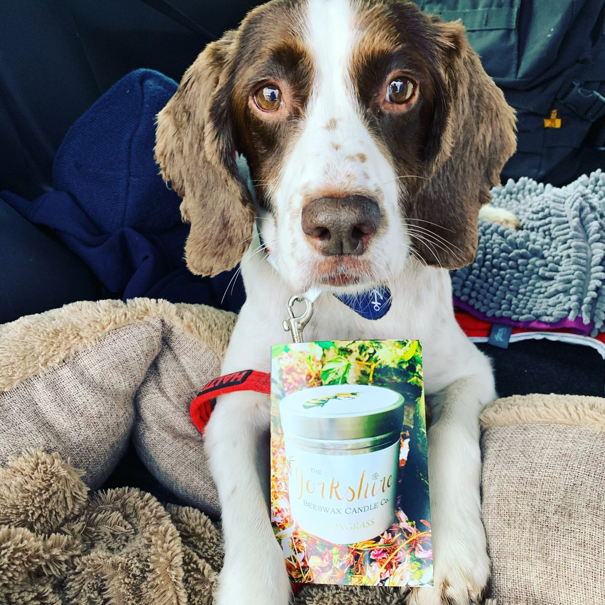 The Yorkshire Beeswax Candle Company