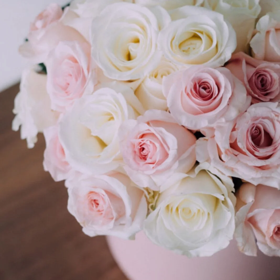 Shop — The Florachic