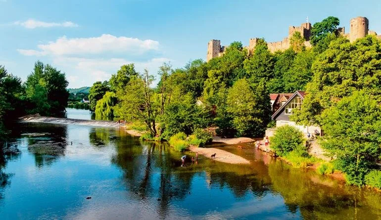 The Area — The Downton Hall Estate