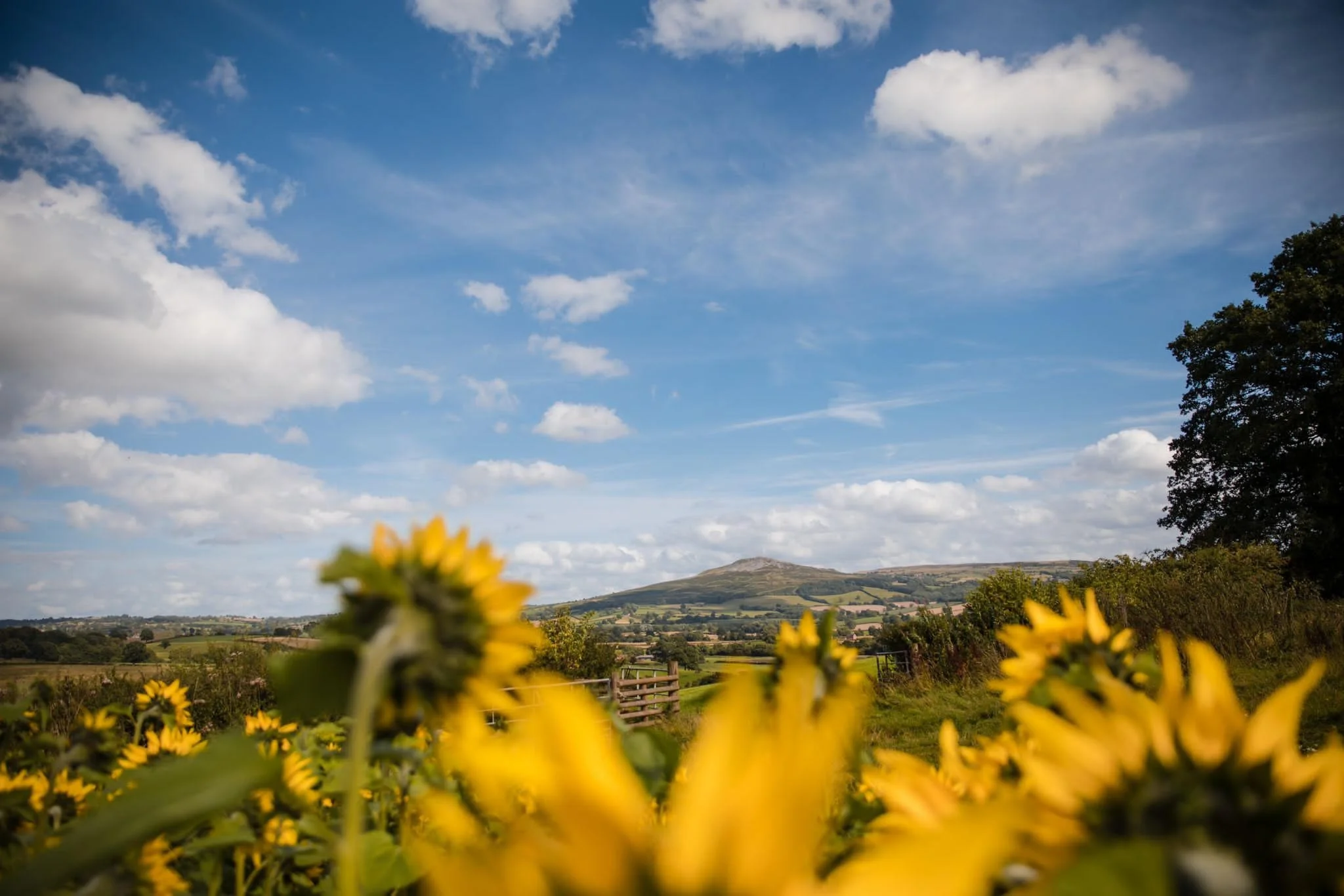 About — The Downton Hall Estate