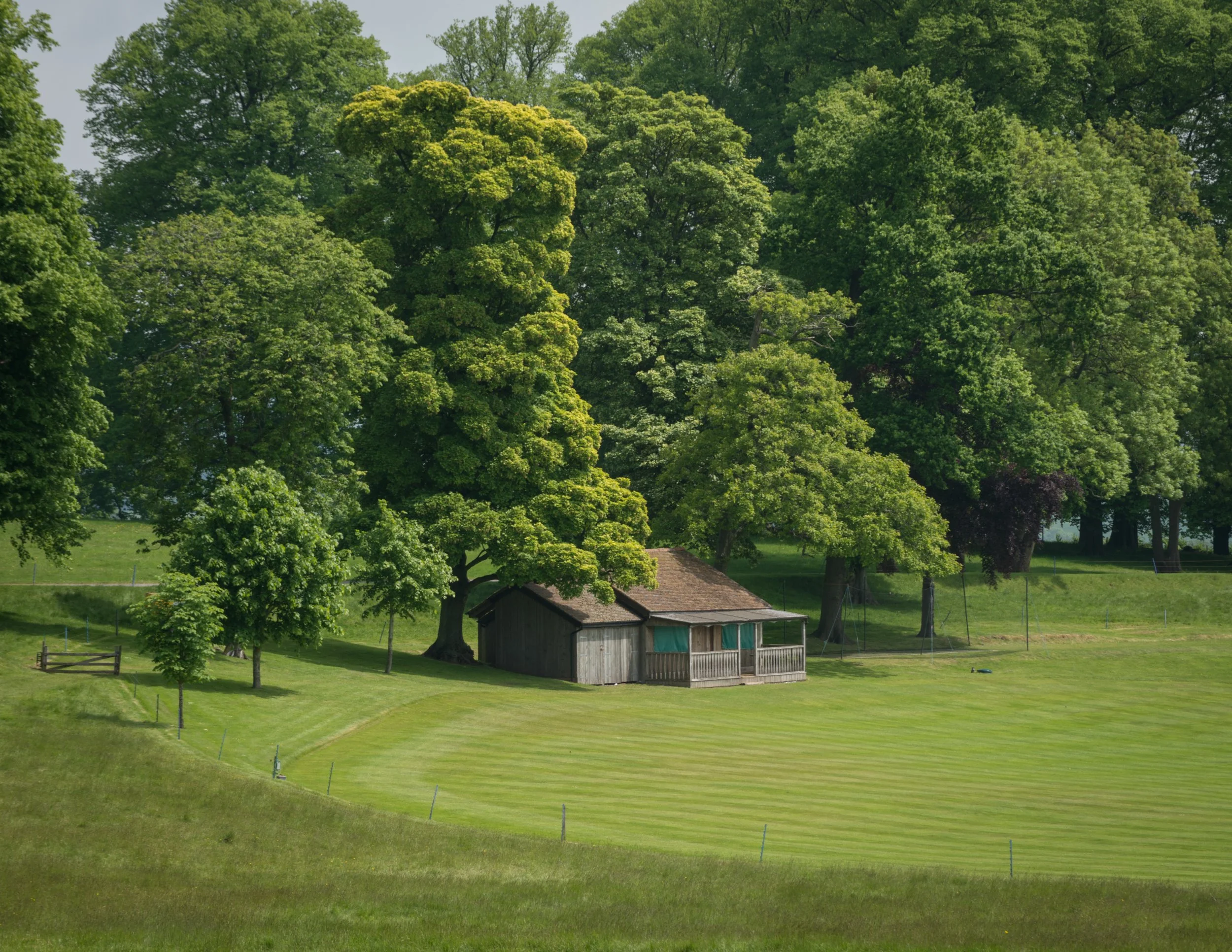 Sporting Opportunities — The Downton Hall Estate