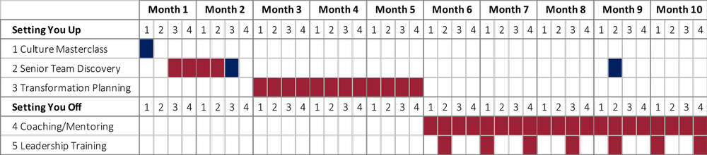 Culture Transformation Year — Fiona Robertson - Culture Change & Leadership