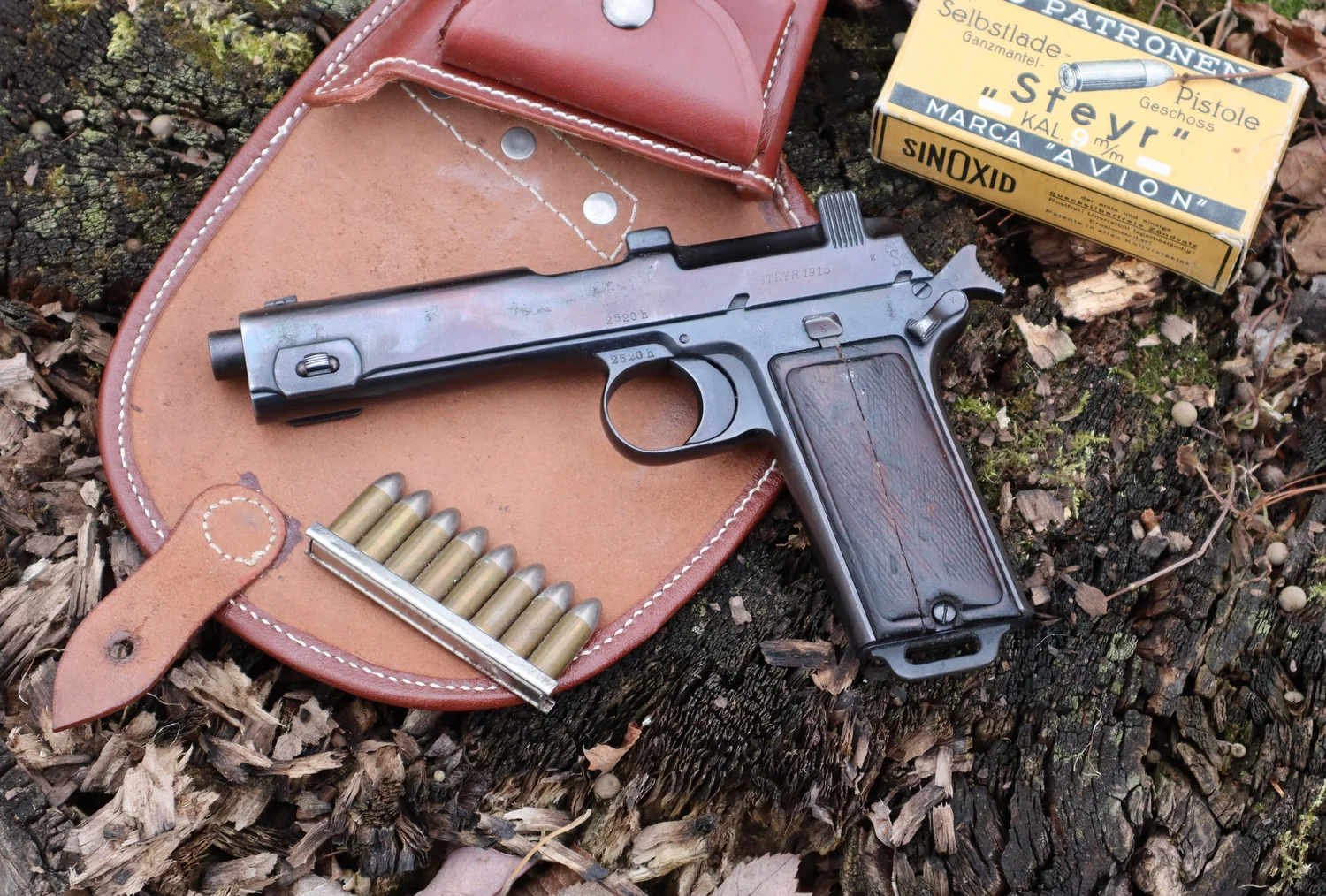 Featured Firearm: Steyr Hahn 1912 — I Like to Hear Myself Talk History