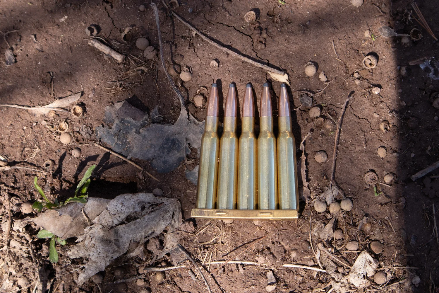 Featured Firearm: Spanish Mauser M1893 — I Like to Hear Myself Talk History