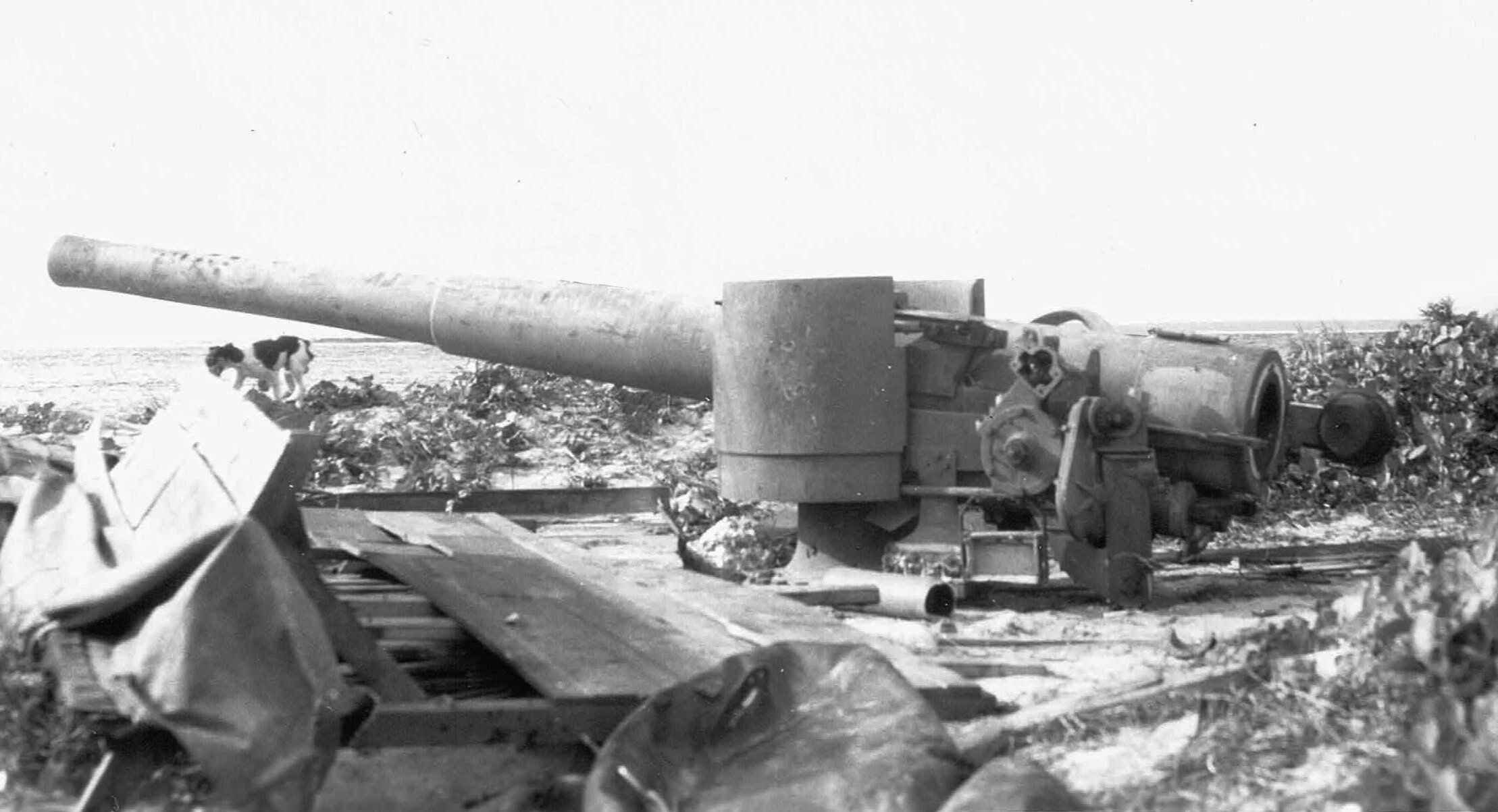The Battle of Saipan — I Like to Hear Myself Talk History