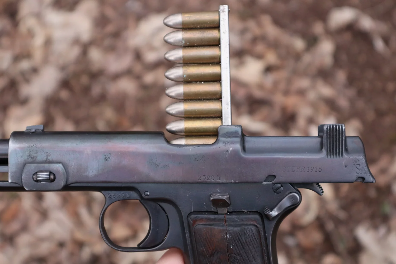 Featured Firearm: Steyr Hahn 1912 — I Like to Hear Myself Talk History