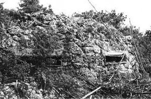 The Battle of Peleliu — I Like to Hear Myself Talk History