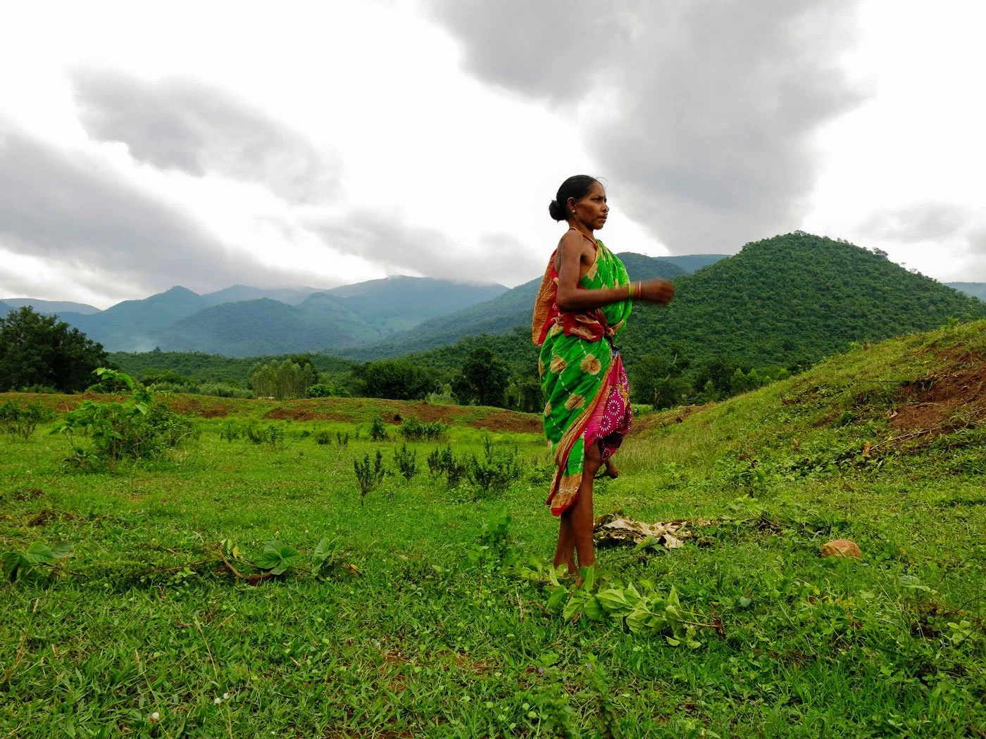 Online Articles & Web Content — American Anthropologist