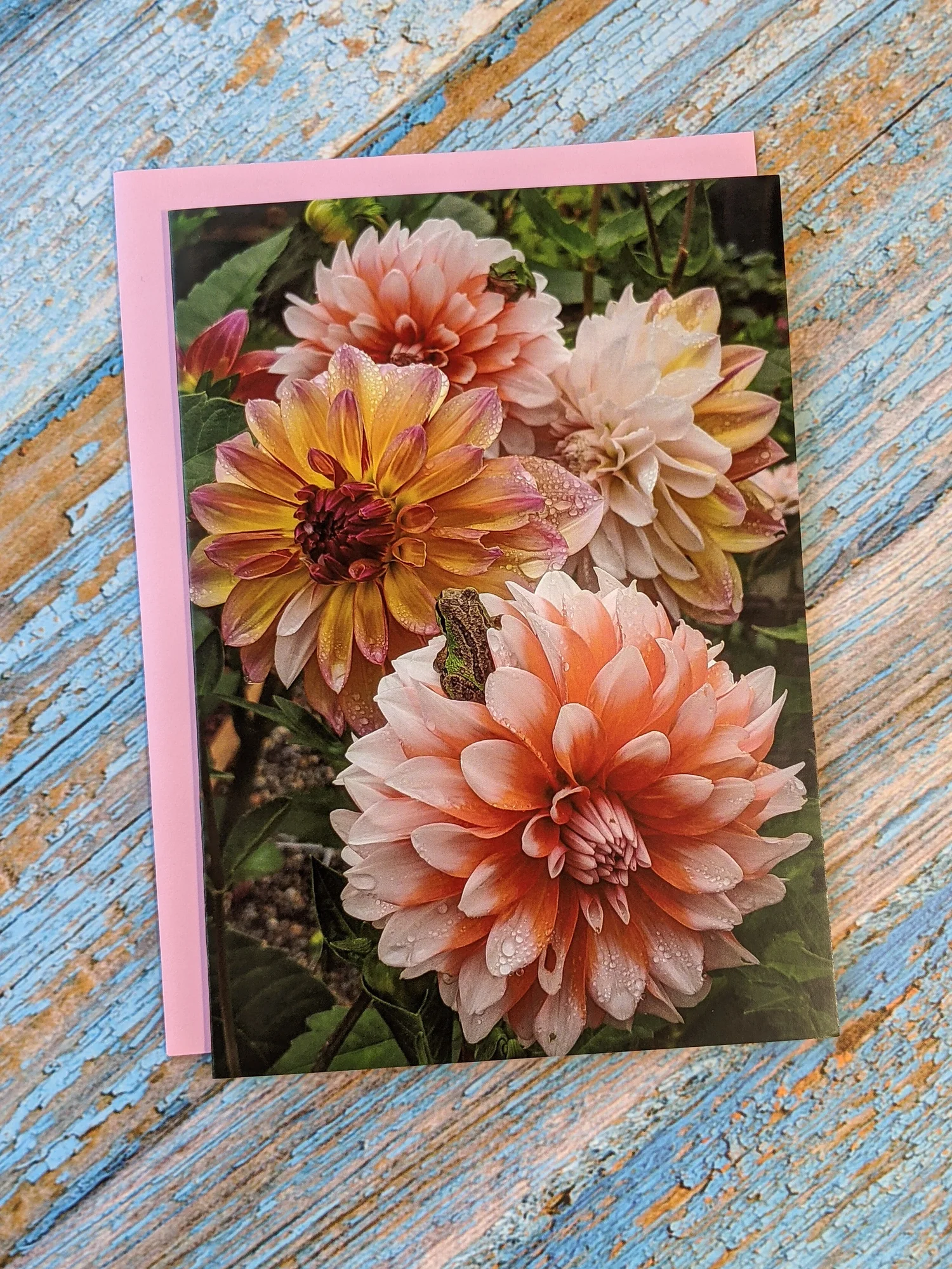 Store 2 — Viking Flower Patch