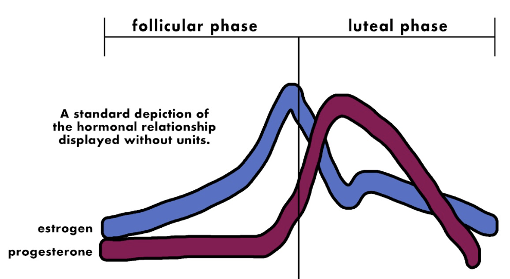 What Is Body Literacy? — Learn Body Literacy