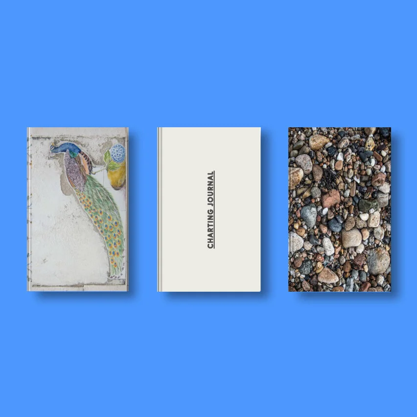 Books — Learn Body Literacy