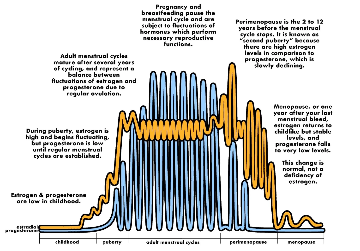 The Menstrual Years — Learn Body Literacy