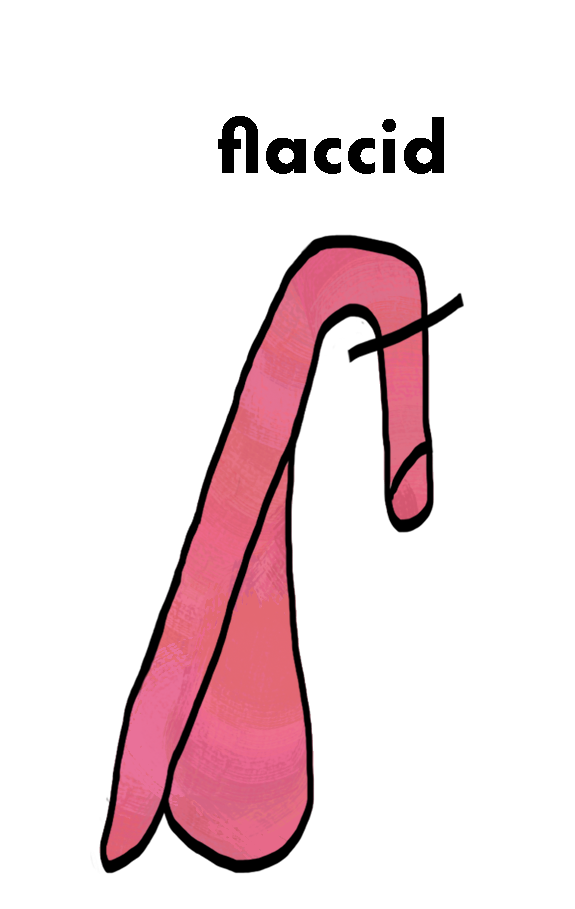 Stages of Arousal | Learn Body Literacy and Fertility Awareness — Learn ...