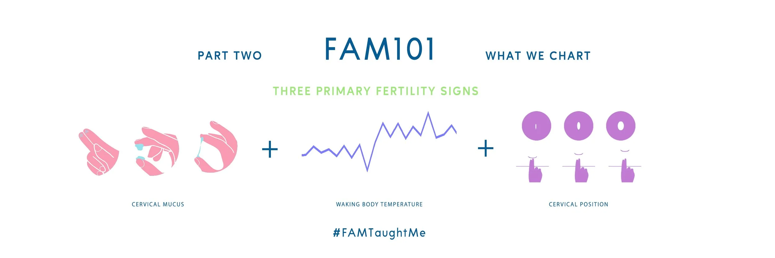 FAM101 - Part 2 - What We Chart — Learn Body Literacy