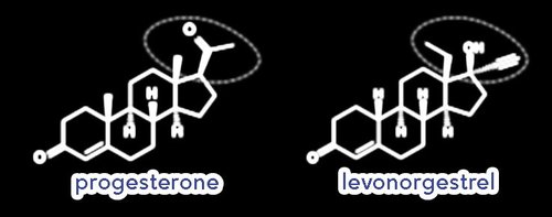 Progesterone vs Progestins — Learn Body Literacy