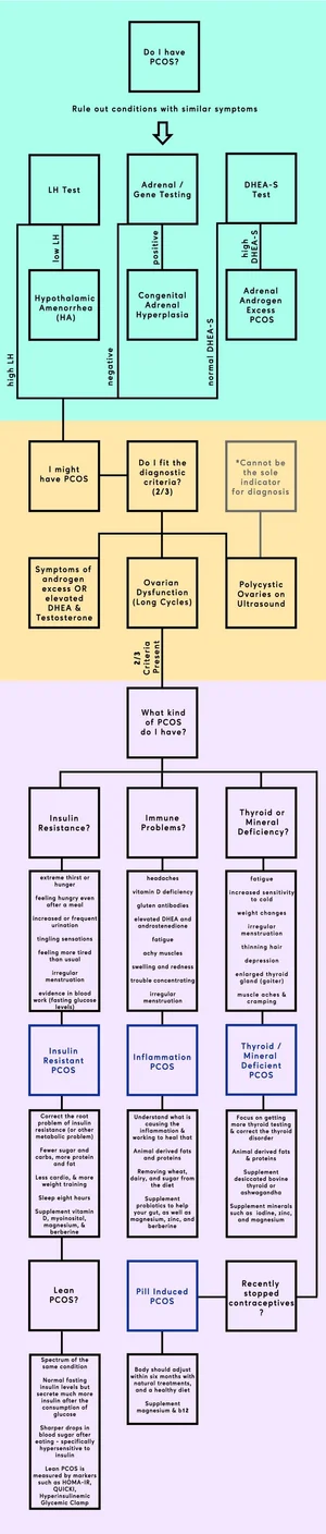 PCOS Flow Chart — Learn Body Literacy