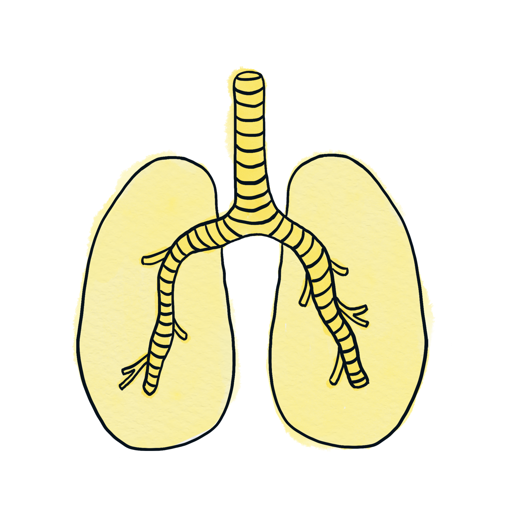 2023–24 topics — Science is Weird