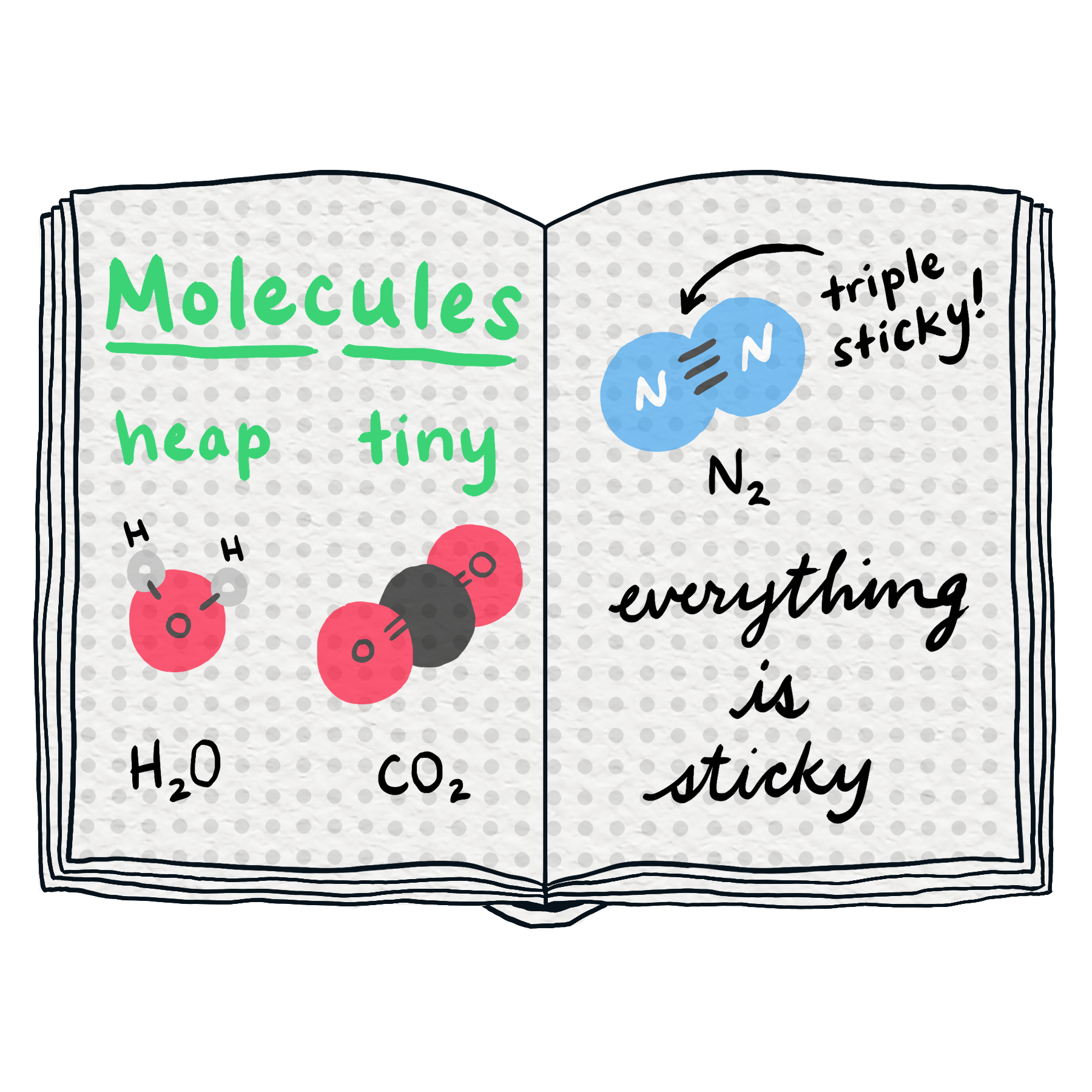 Notebooks — Science is Weird
