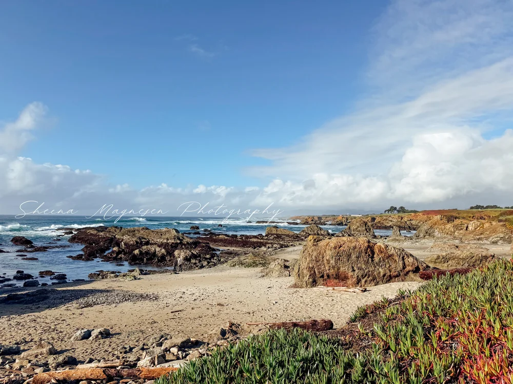 The Ultimate 10 Day Roadtrip Down the Pacific Coast Highway