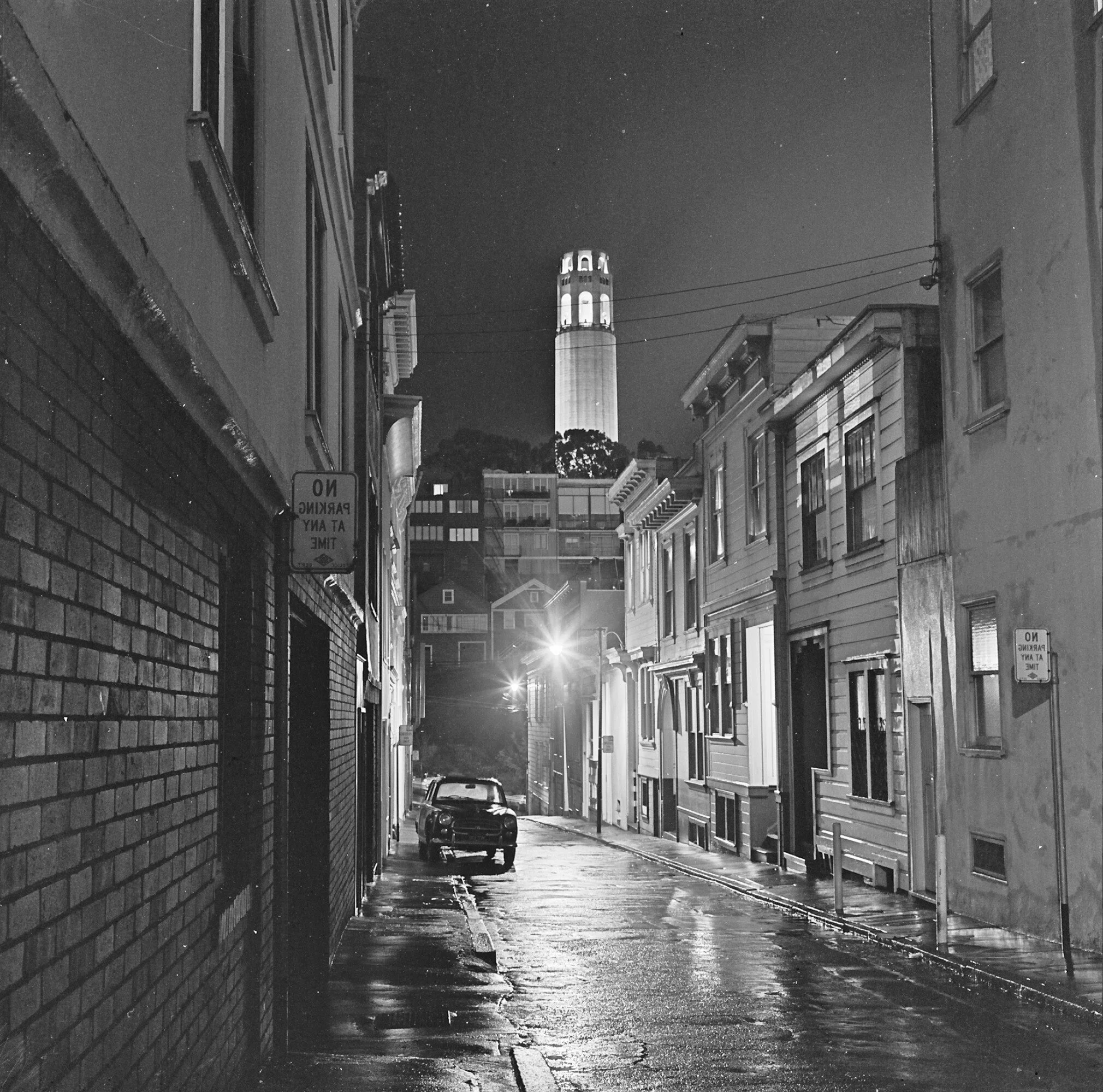 San Francisco Photography — Jimo Perini Photography