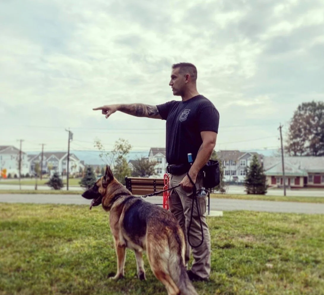 COVER K9 TRAINING