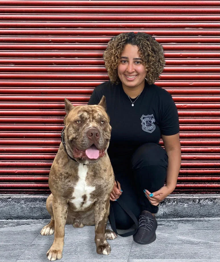 Cover K9 Training Our Team — COVER K9 TRAINING