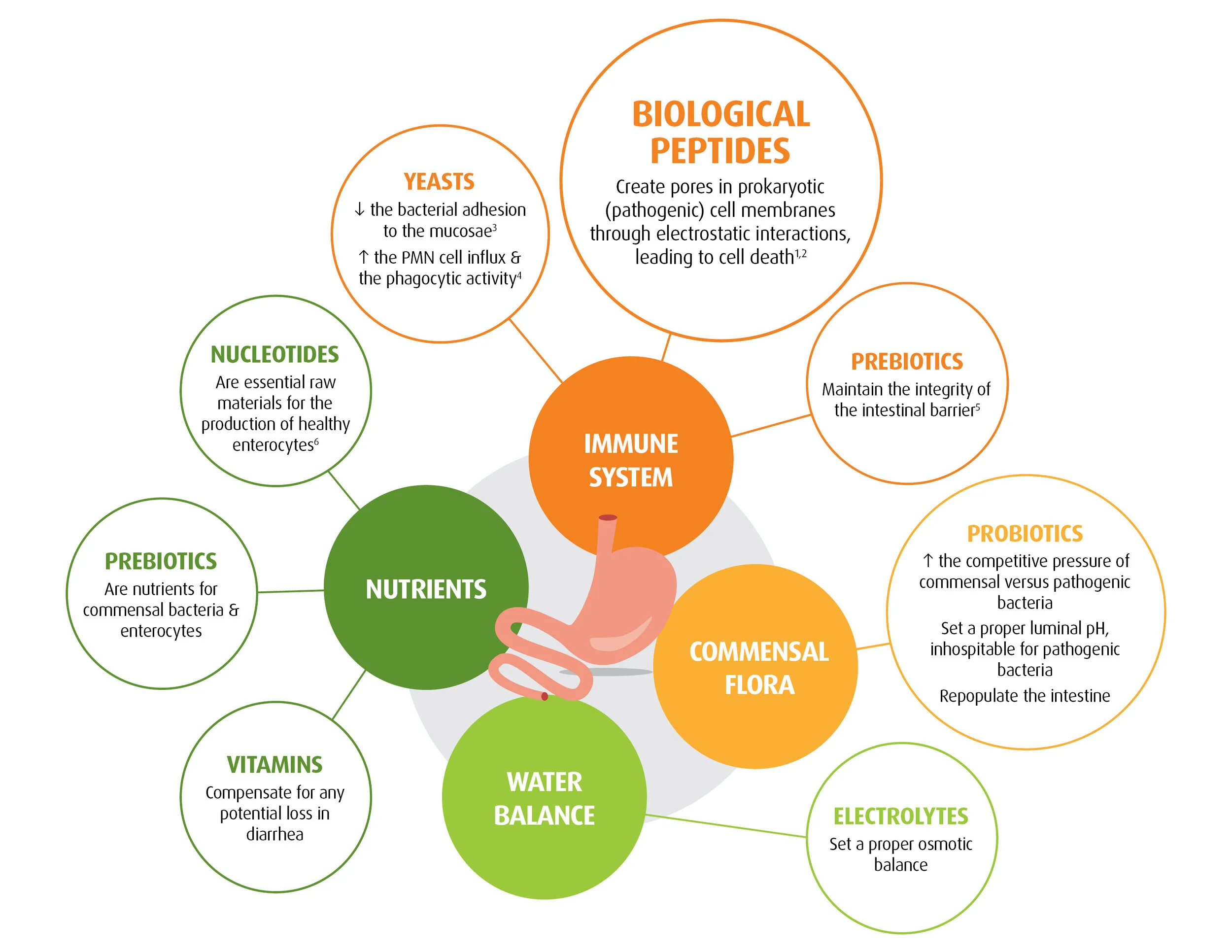 Aventi GI Complete Virtual Booth — - AVENTIX