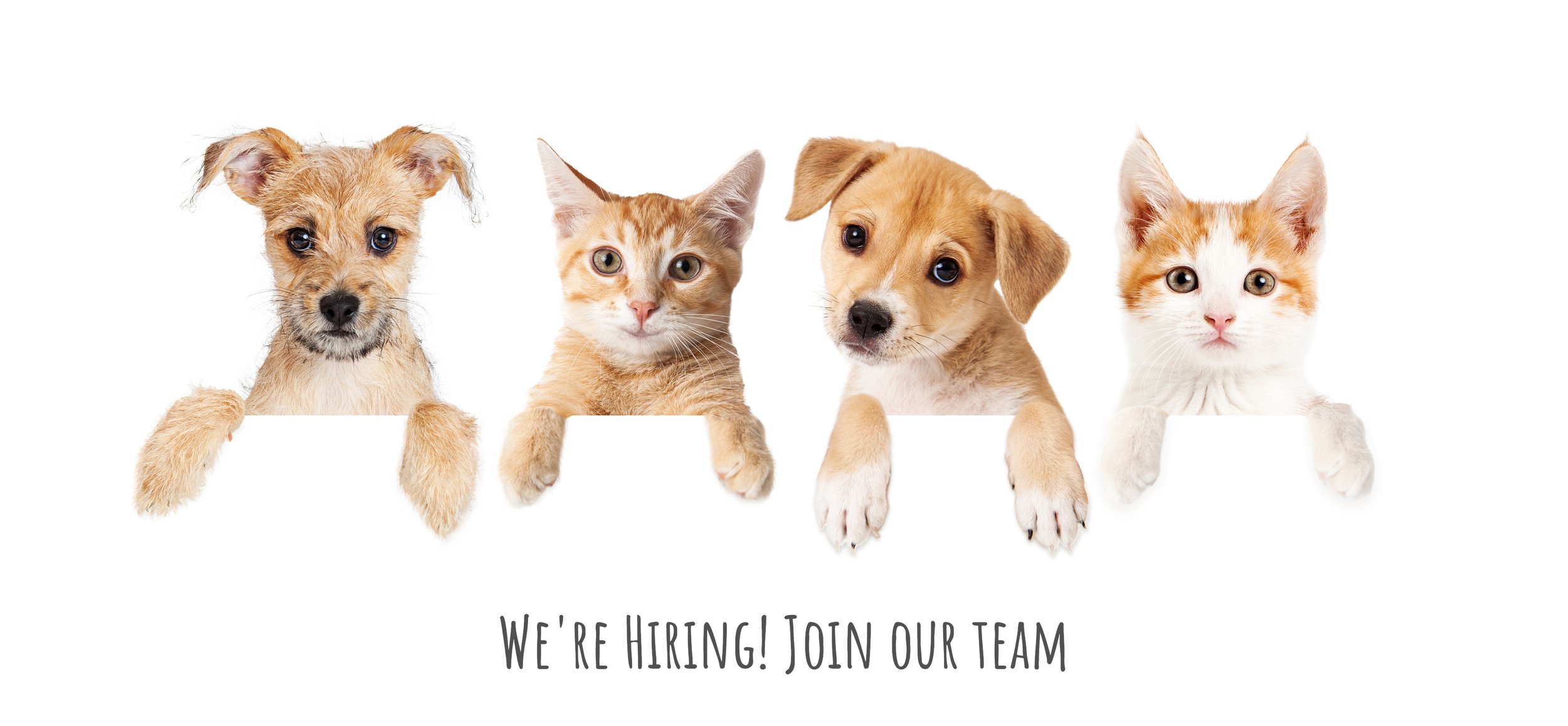 Careers — - AVENTIX