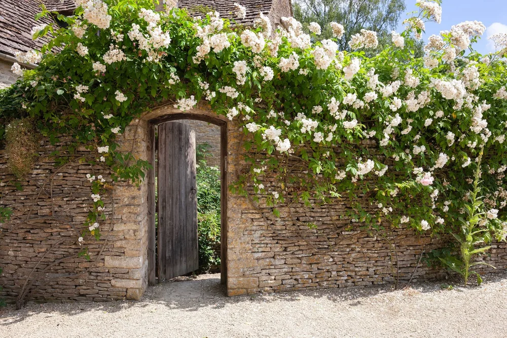 Grove Garden
