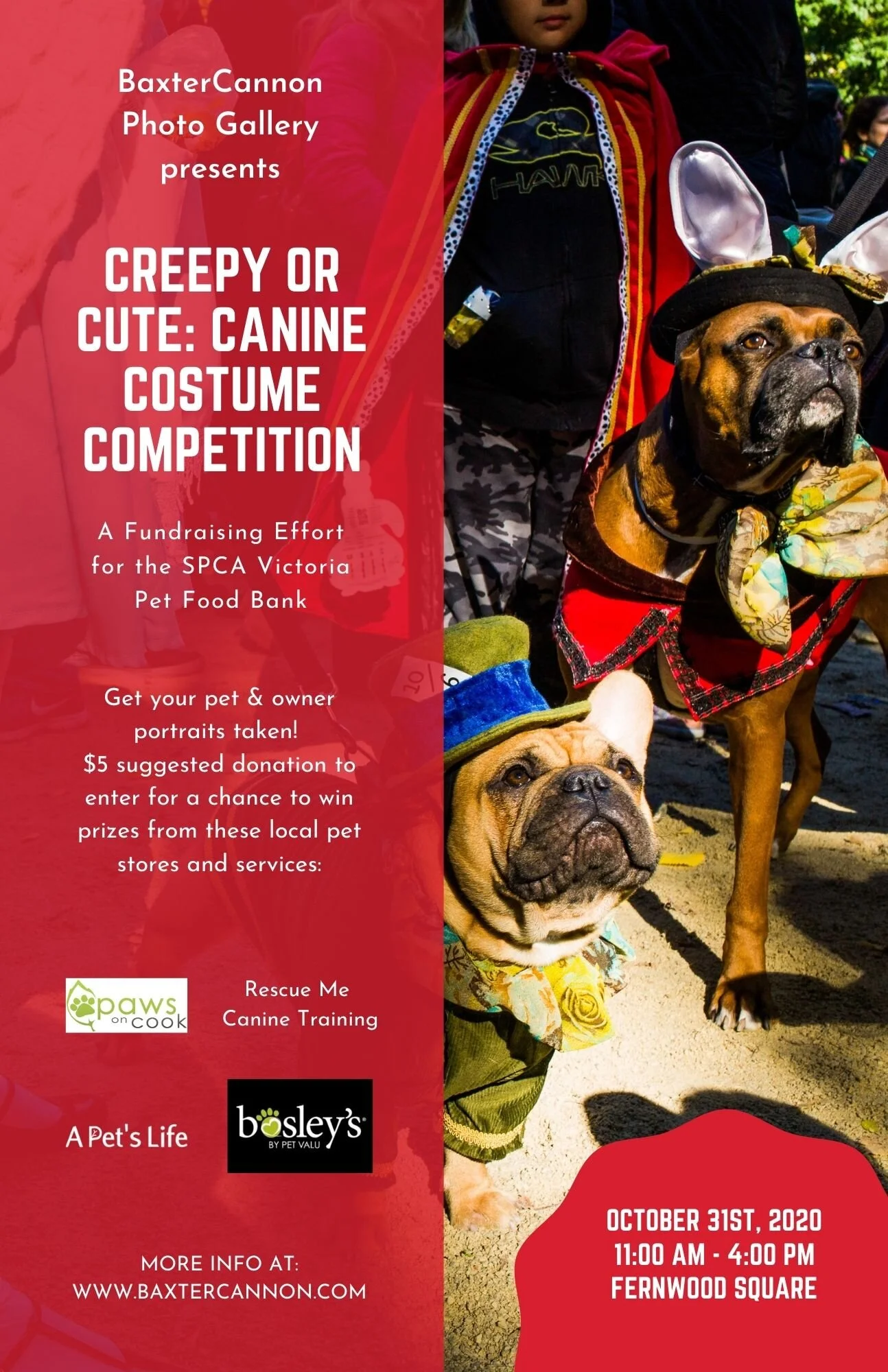 Canine Costume Competition — BaxterCannon Gallery
