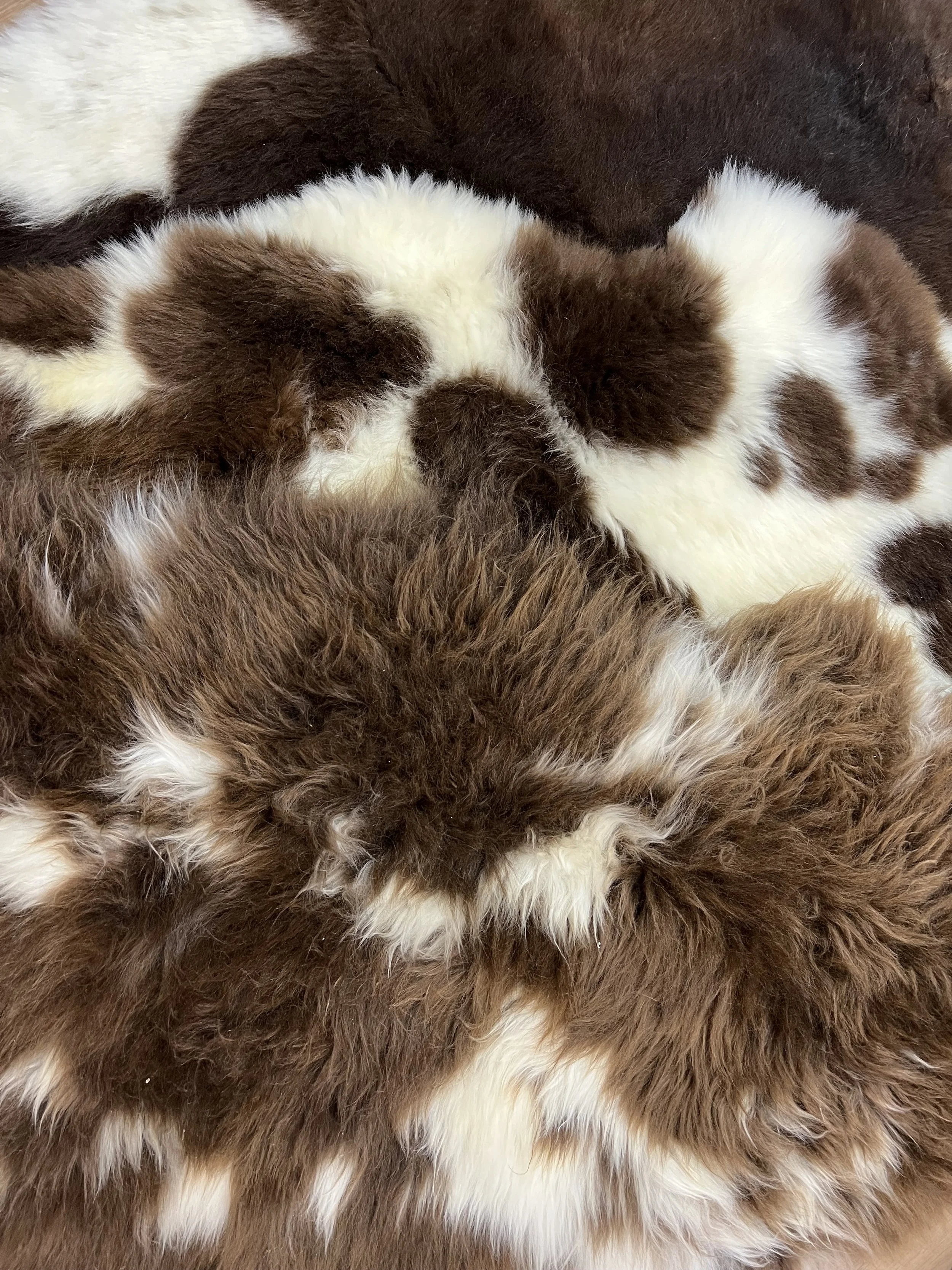 Shop — High Plains Sheepskin