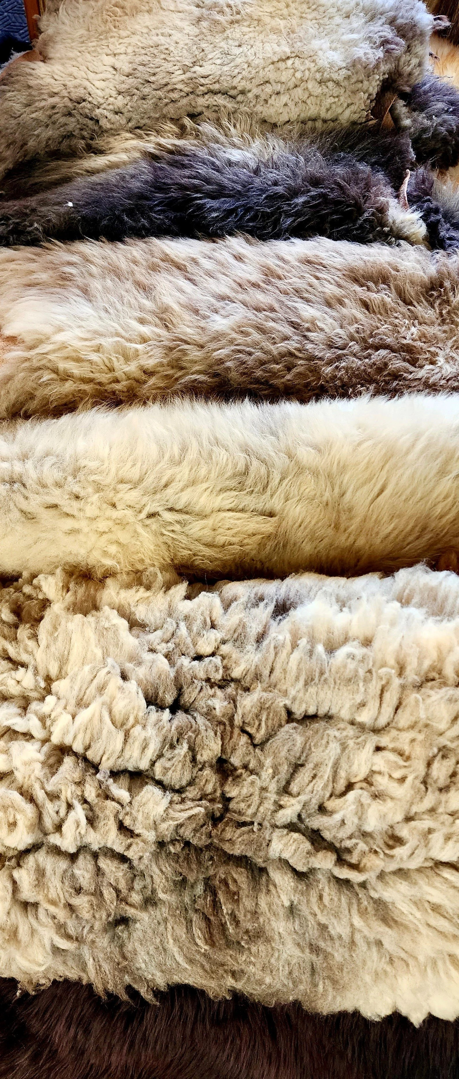 Shop — High Plains Sheepskin