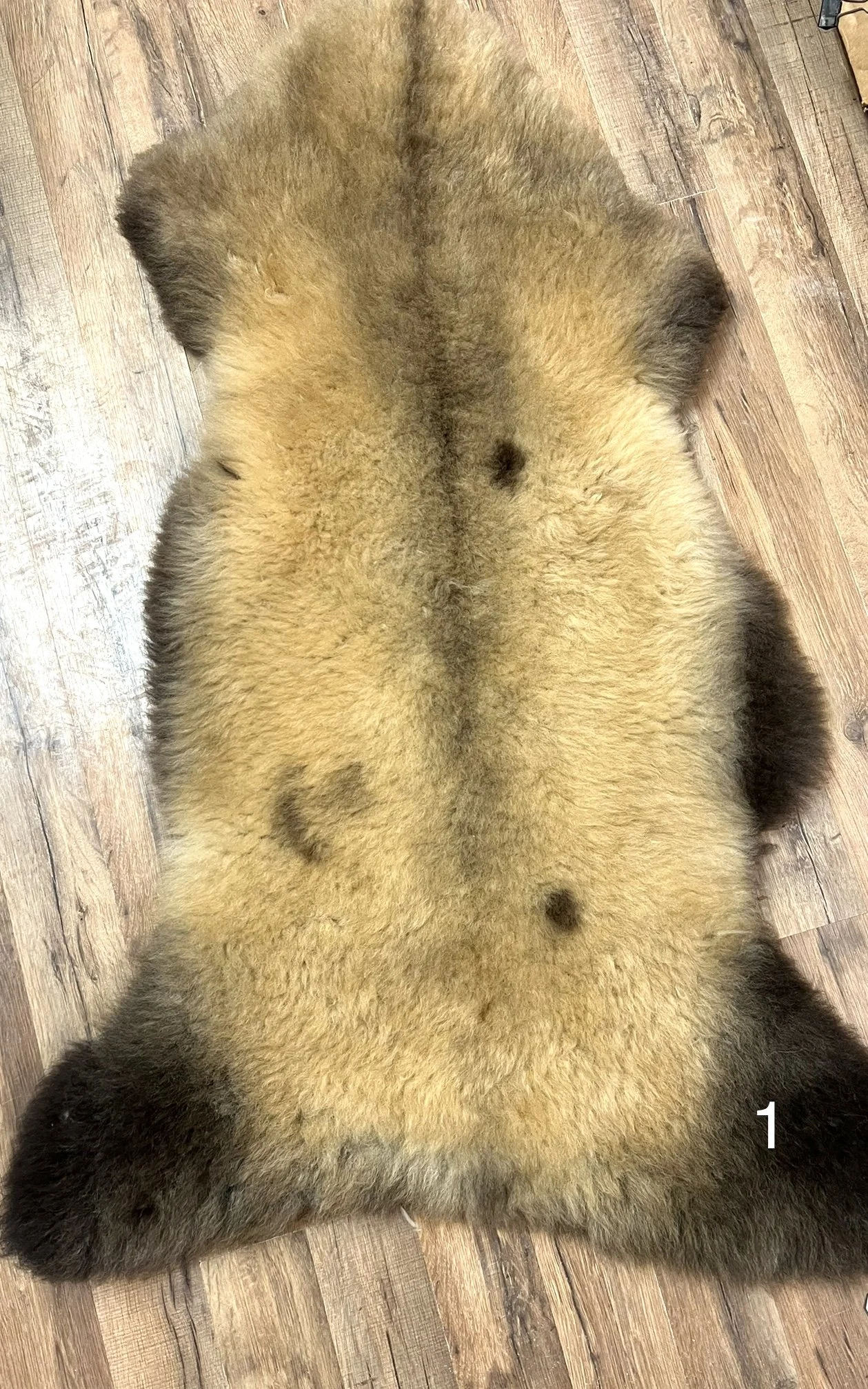 Shop — High Plains Sheepskin