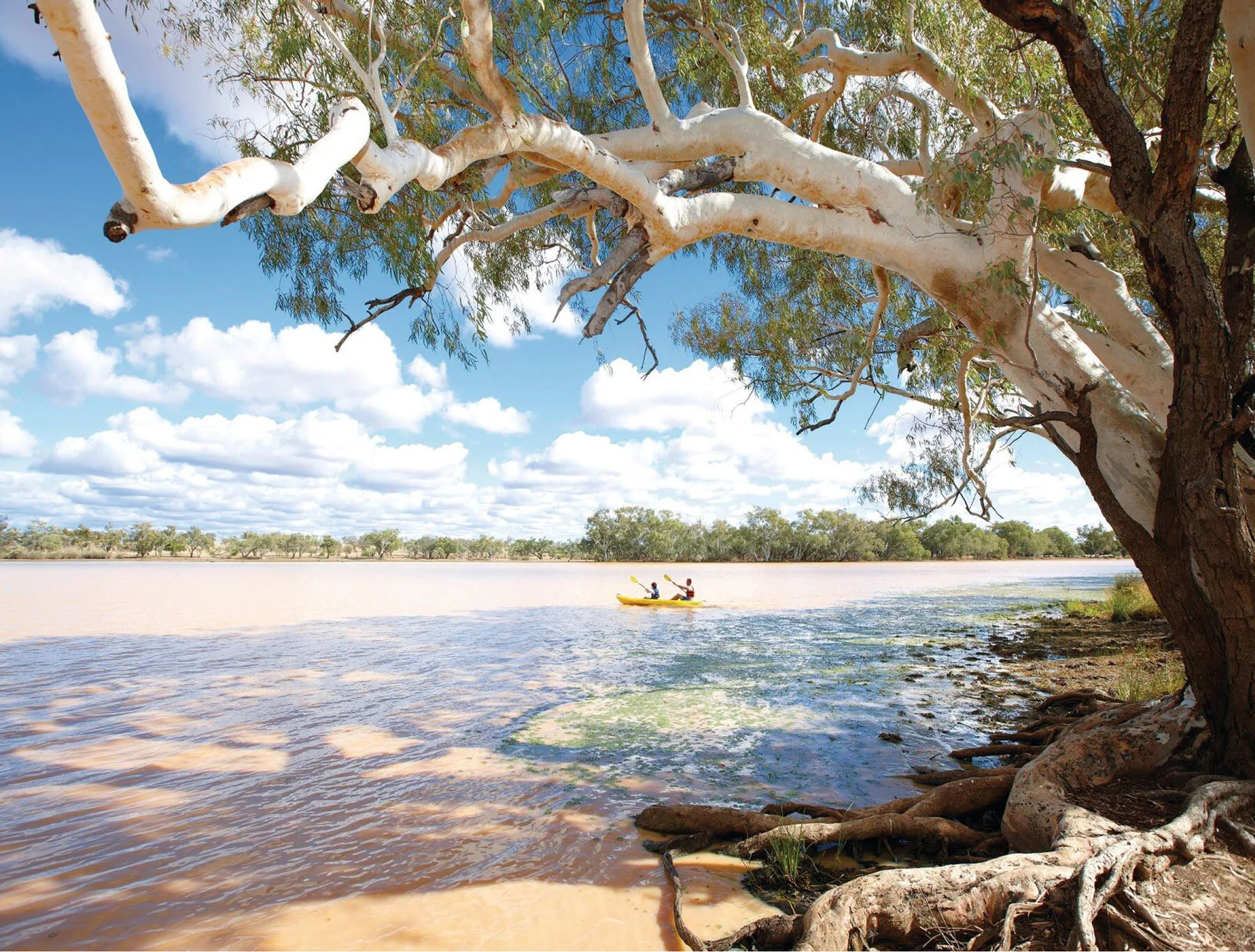 South West Queensland Regional Organisation of Councils
