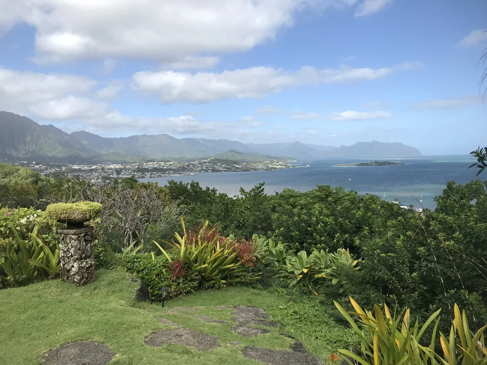 Traditional Muumuu and Hawaiian Dresses from Princess Kaiulani Fashions ...