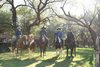 Meet our Family — Houston's Horseback Riding