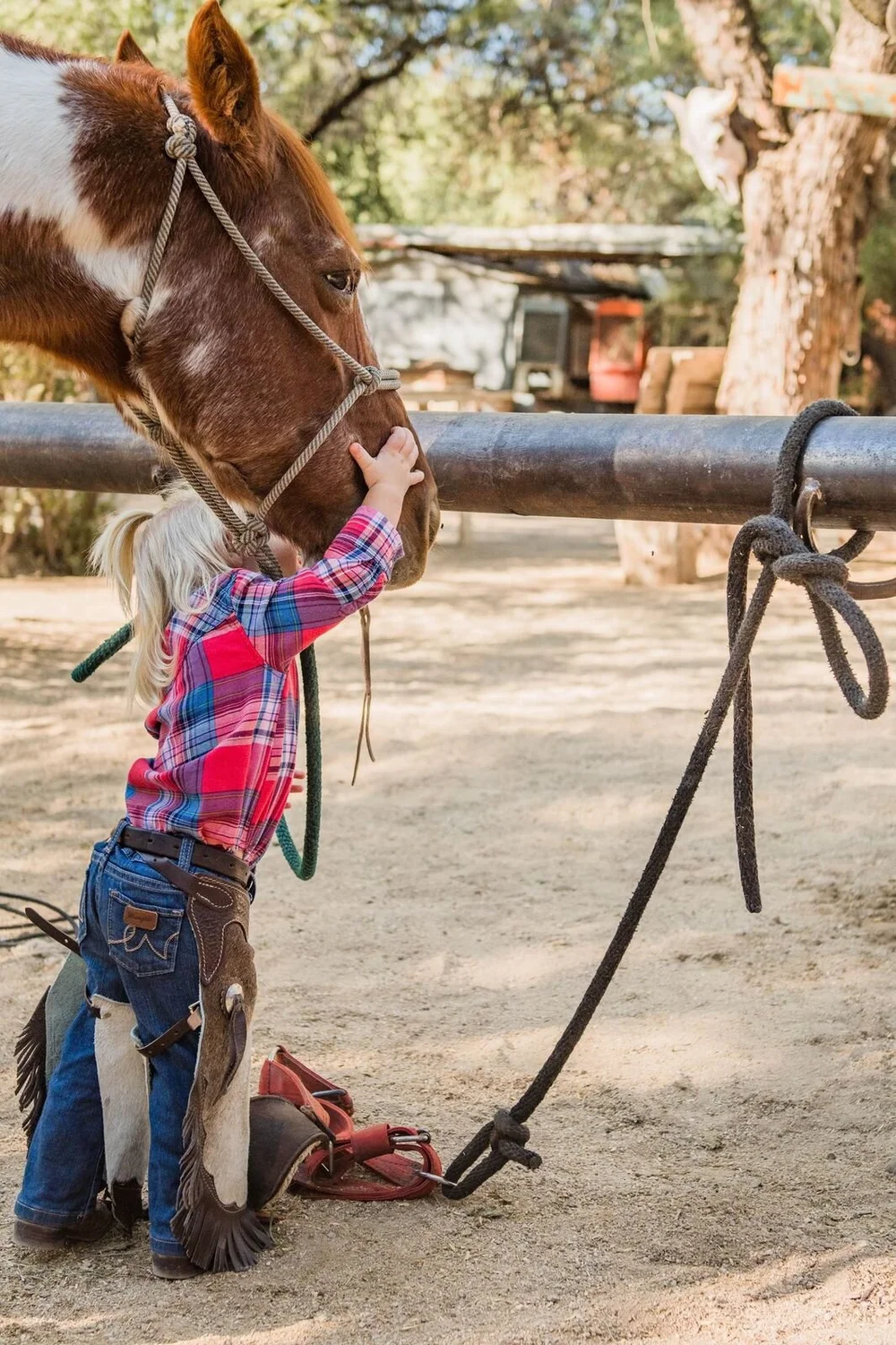Meet our Family — Houston's Horseback Riding
