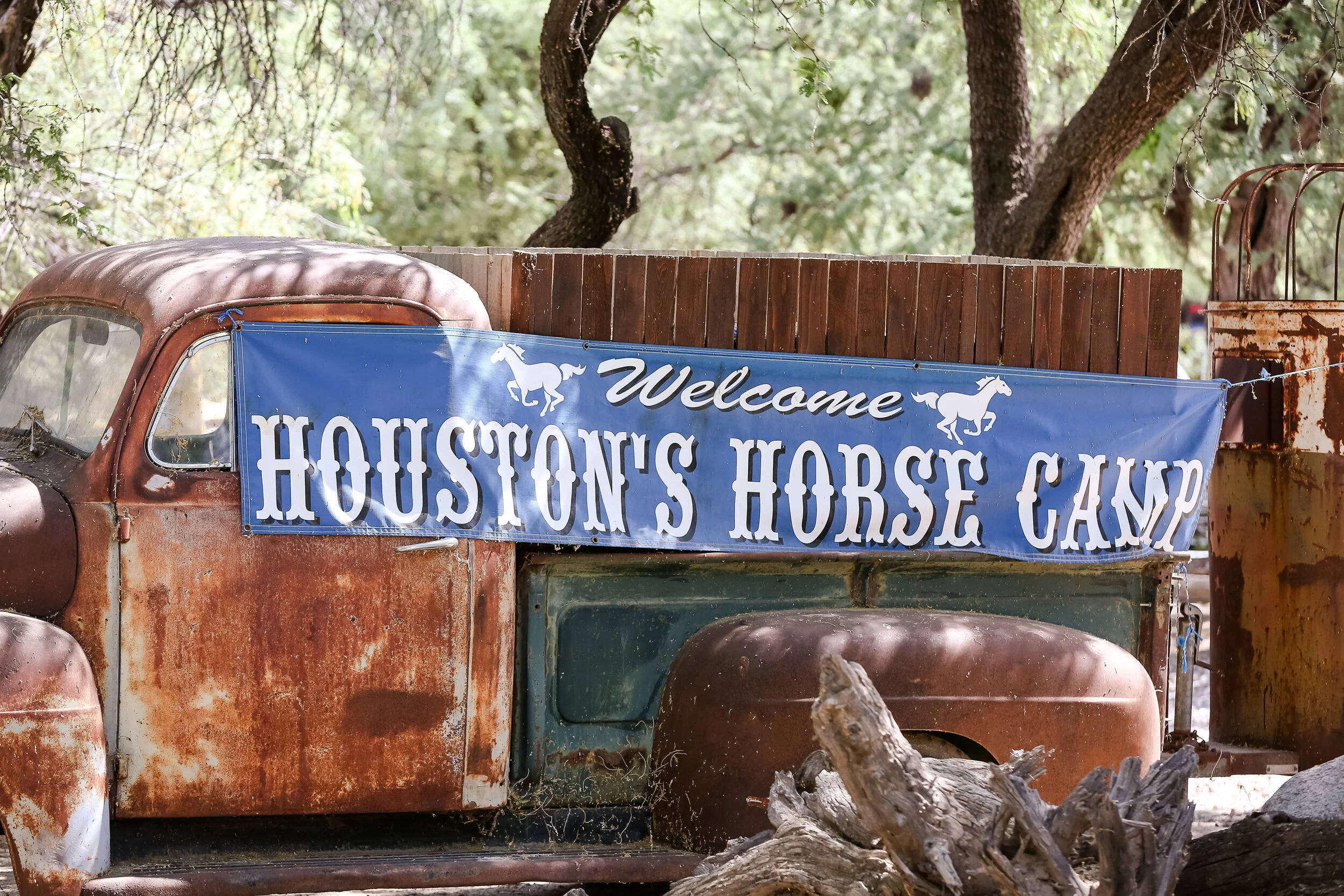 Horse Camp — Houston's Horseback Riding