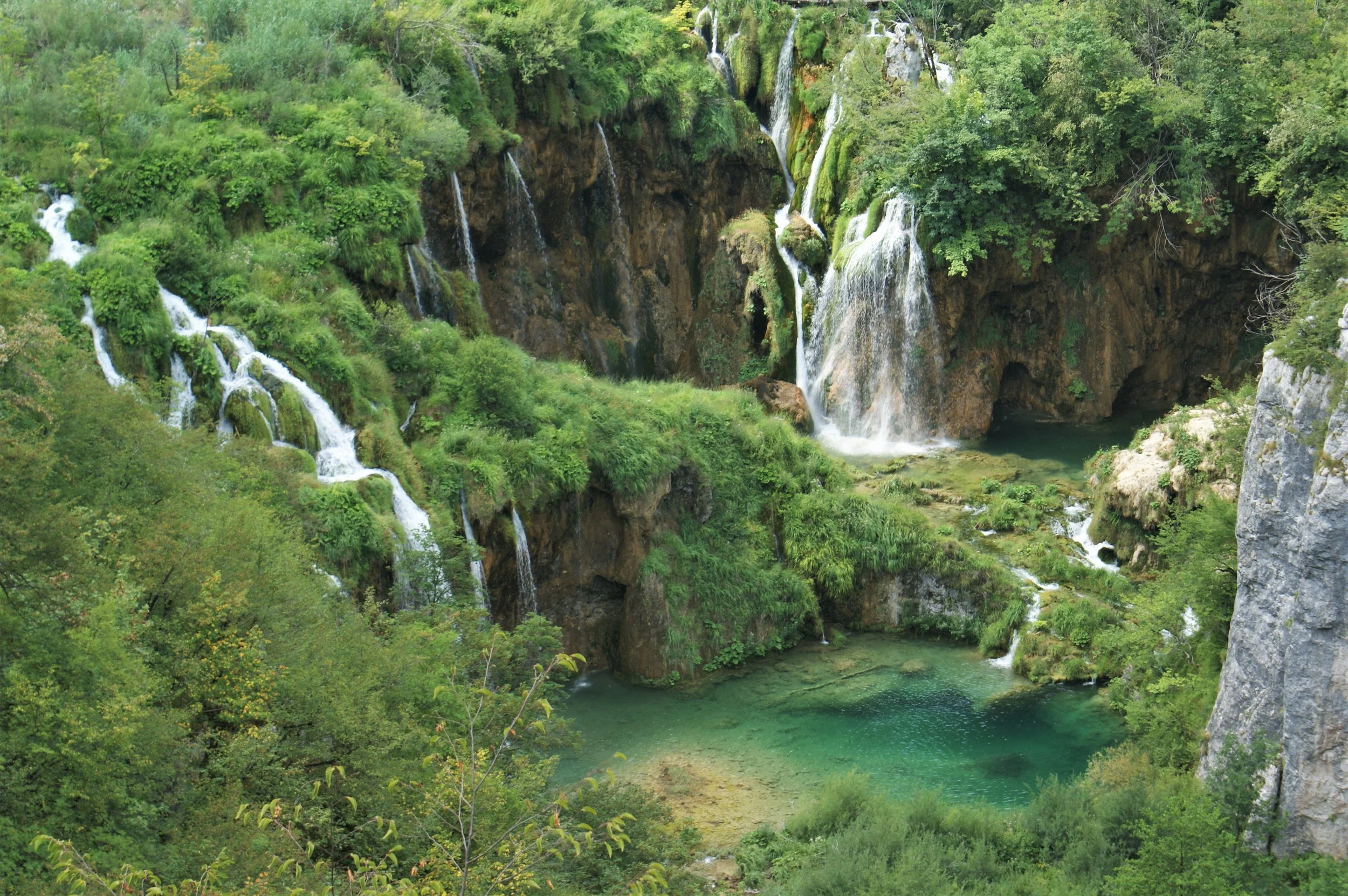 Professional Photographer: Pure Photography Library, Travel, Wildlife ...