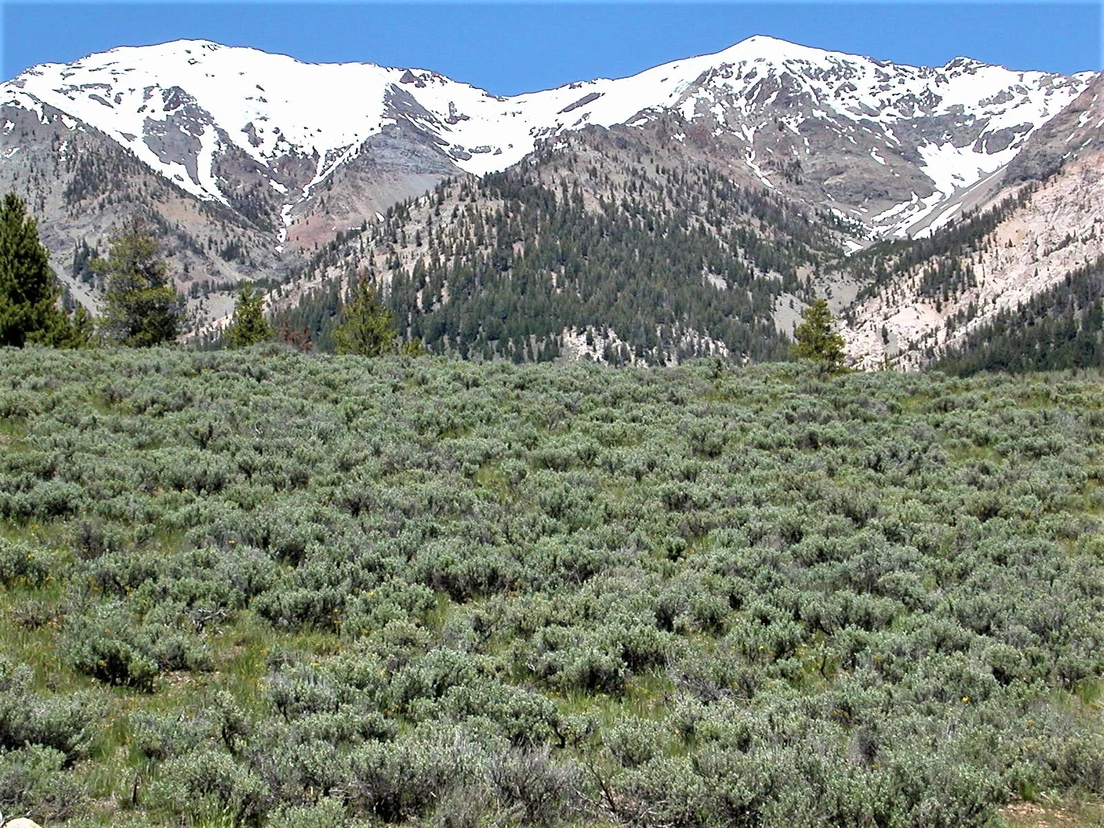 Sawtooth Hiking Photographs — Ted McDonnell Pure Photography | Ted ...
