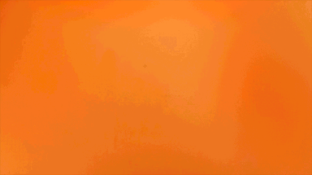 Portfolio — Christa Lee