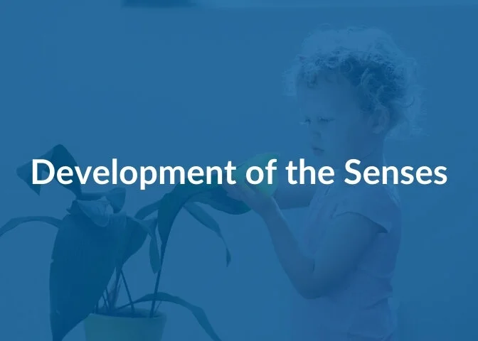 Learning Programme from 3 to 6 — Montessori National Curriculum Online ...