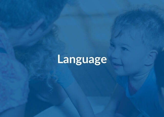 Learning Programme from 3 to 6 — Montessori National Curriculum Online ...